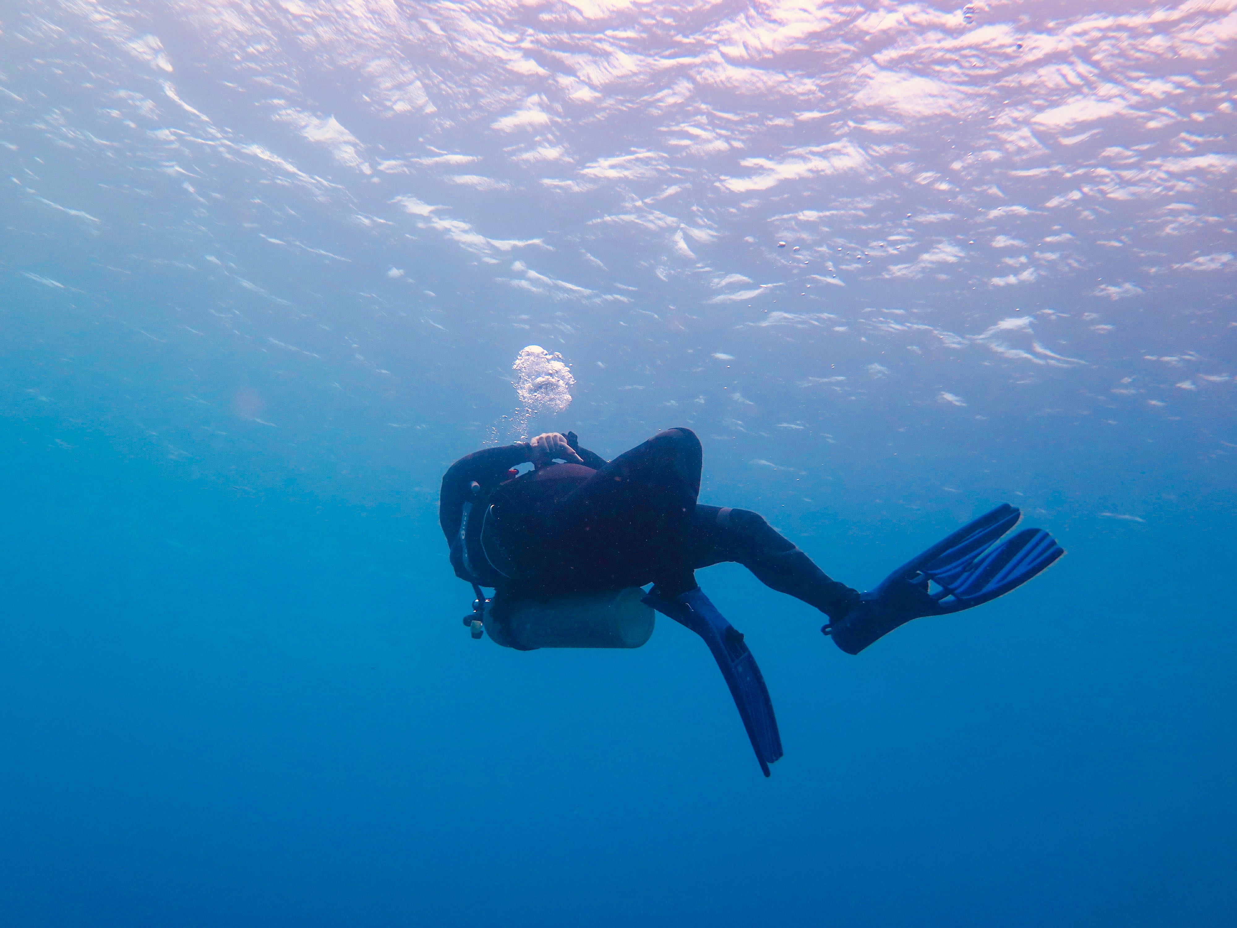 9 profils d'instructeurs de plongée | Different Dive